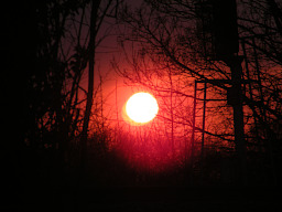 Interdiu - Vita Ultimum - Fimfiction