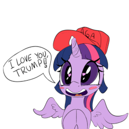 Let's Make America Great Again - Love Blooms Between Twilight Sparkle ...