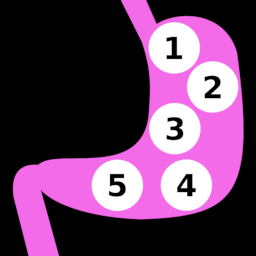 Stomach Prison - Fimfiction