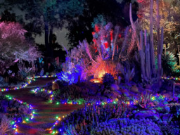 Park of D'Lights - Fimfiction