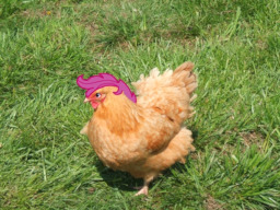 A Tale of Two Dictionaries (and a Chicken) - Fimfiction