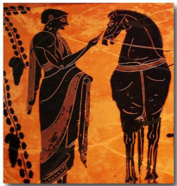 On Nature - The Illogical and the Logical - Fimfiction