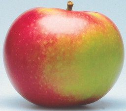 The Perfect Apple - Fimfiction