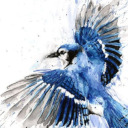 Divine Indifference - Fimfiction