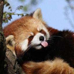 More deranged than usual... - Fimfiction